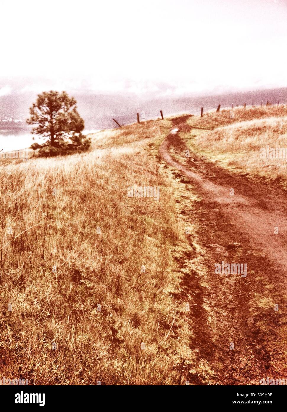 Dirt pathway hi-res stock photography and images - Alamy