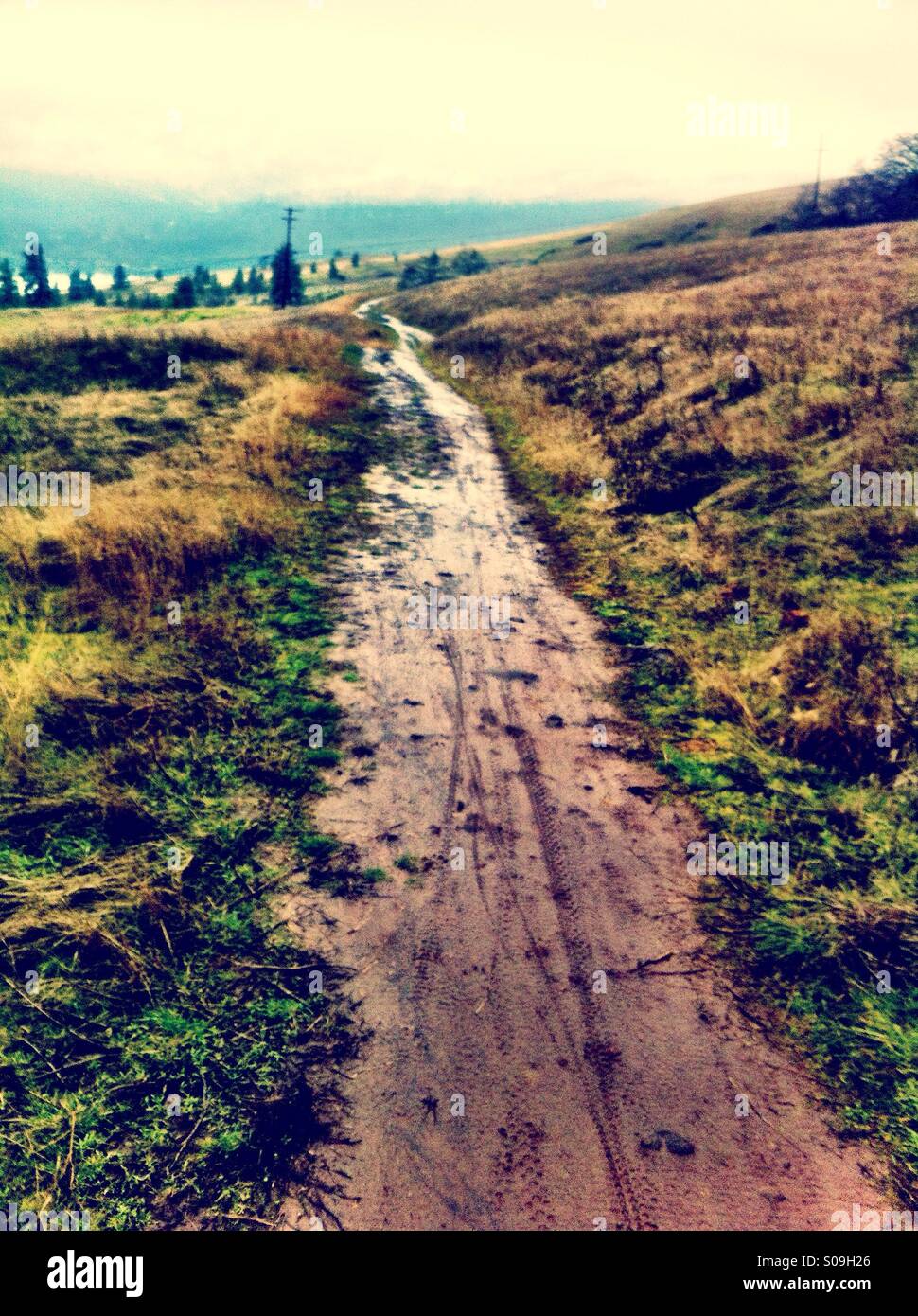 Hillside outdoors hi-res stock photography and images - Alamy