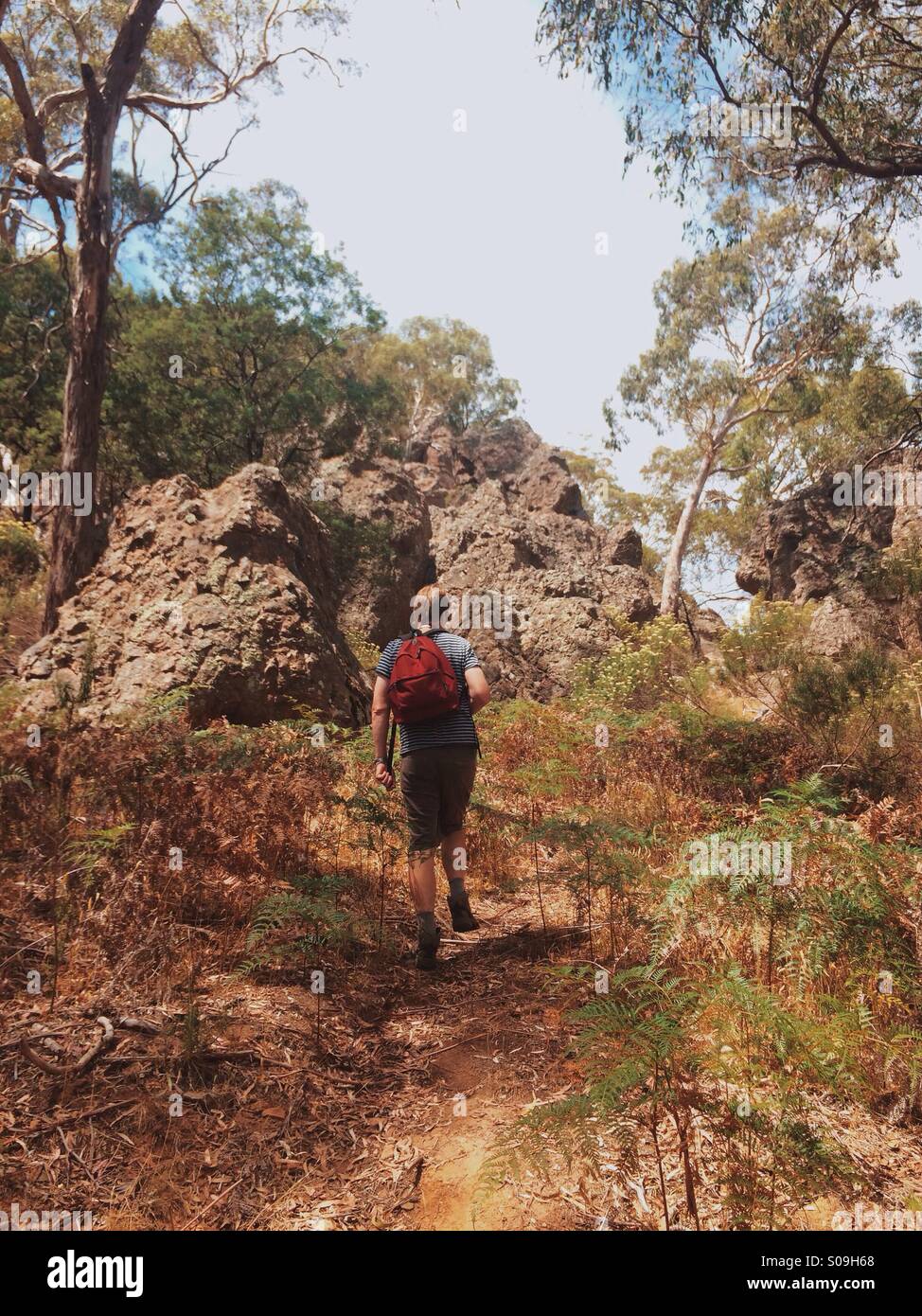 Australian bushwalking hi-res stock photography and images - Alamy
