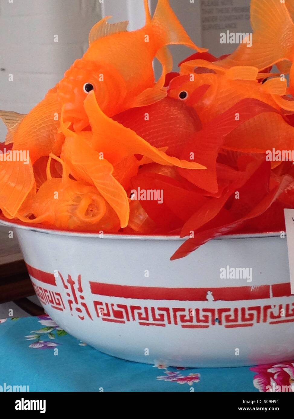 Goldfish bowl hi-res stock photography and images - Alamy