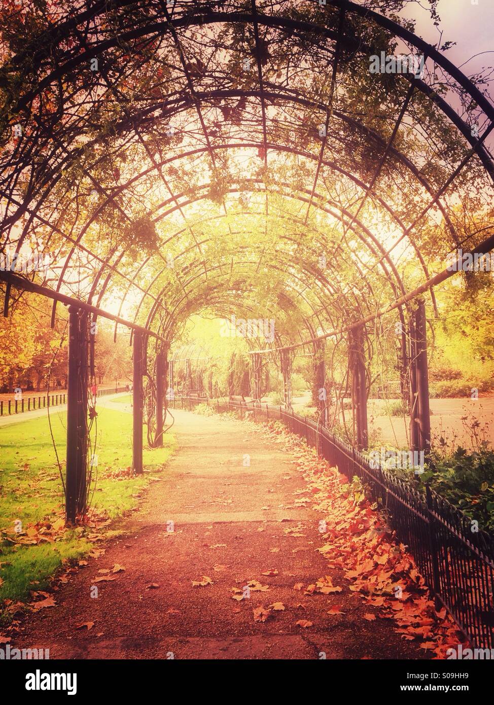 Arch garden path hi-res stock photography and images - Alamy
