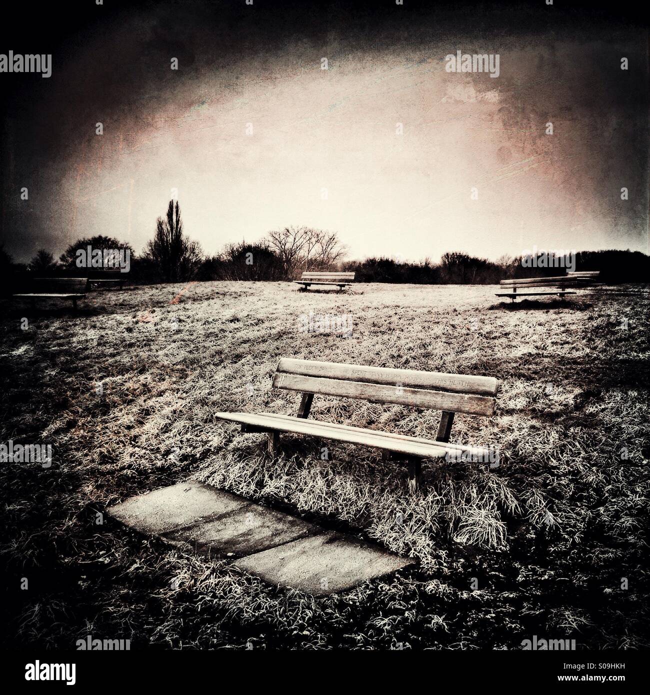 Empty benches in a cold desolate landscape Stock Photo - Alamy