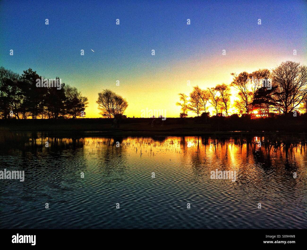 Hatchet pond hi-res stock photography and images - Alamy