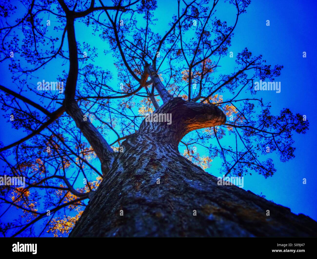 Super Color High Resolution Stock Photography and Images - Alamy