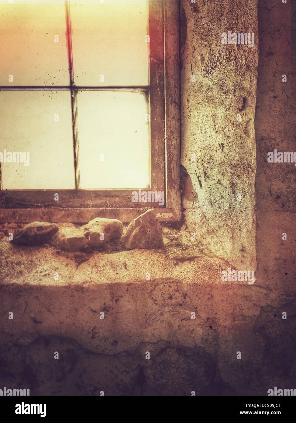 Pane windowsill hi-res stock photography and images - Alamy