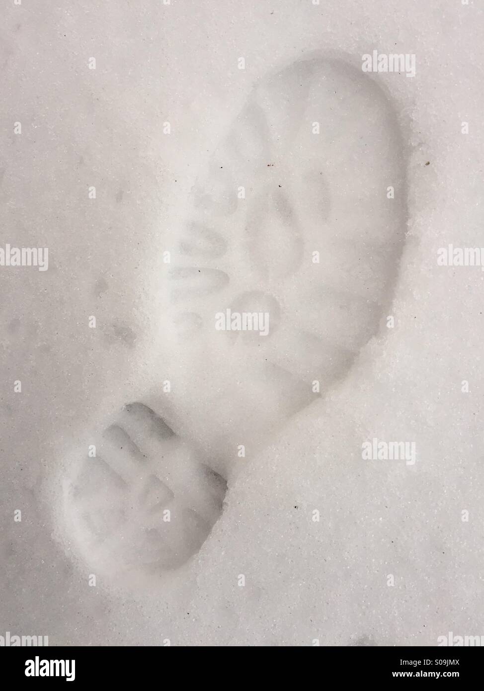 Boot print in snow hi-res stock photography and images - Alamy
