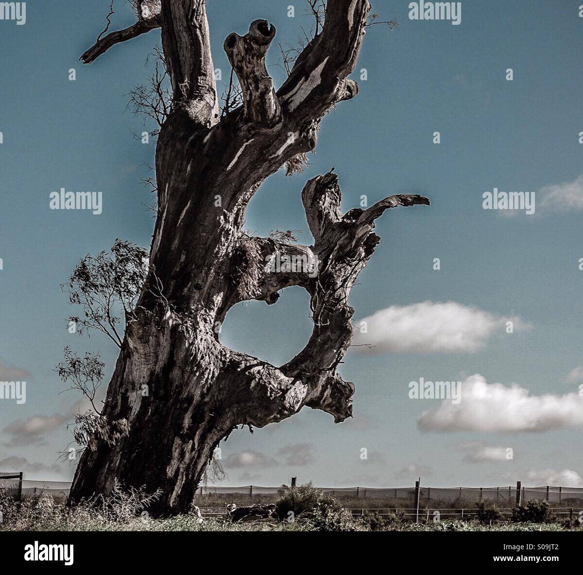 Love the outback hi-res stock photography and images - Alamy