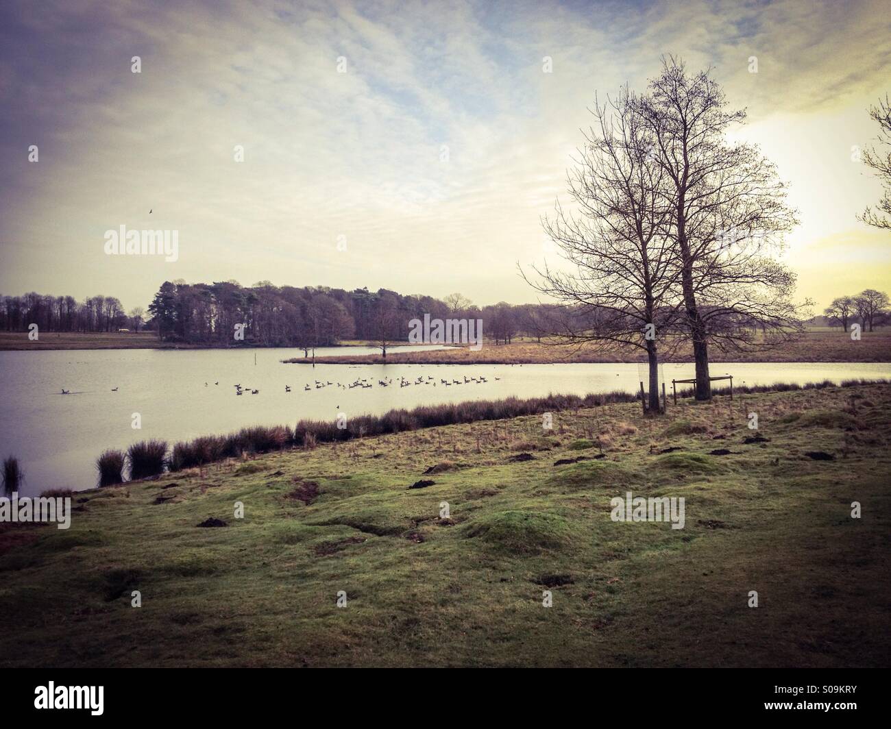 Tatton mere hi-res stock photography and images - Alamy