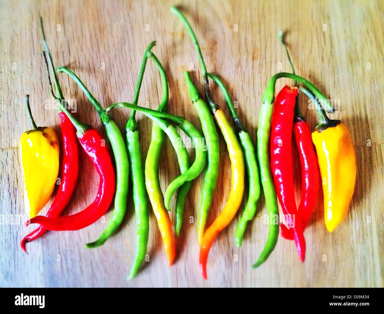 Colourful chillies hi-res stock photography and images - Alamy
