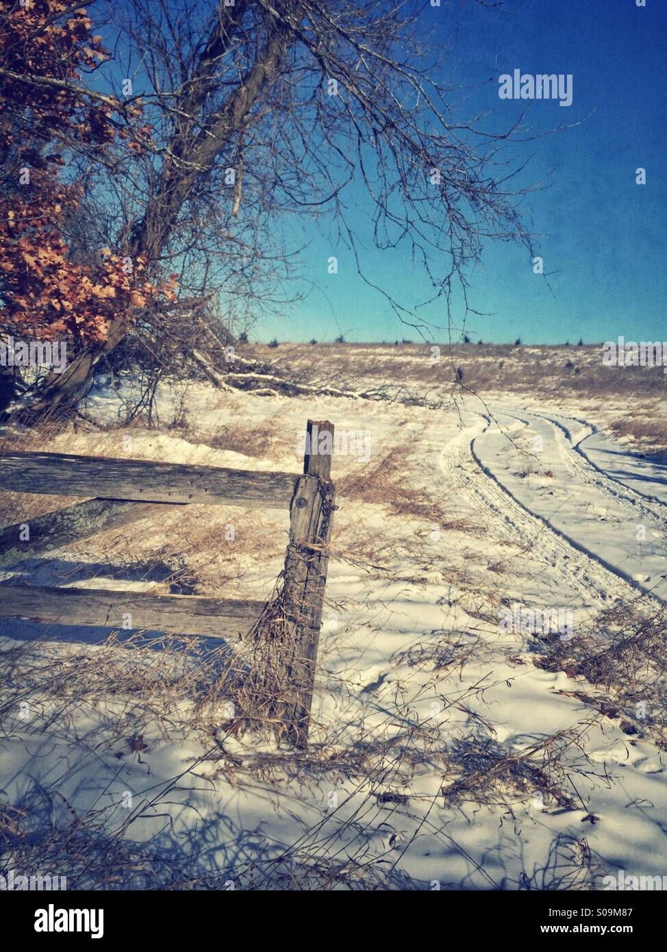 Rustic fence in winter Stock Photo - Alamy