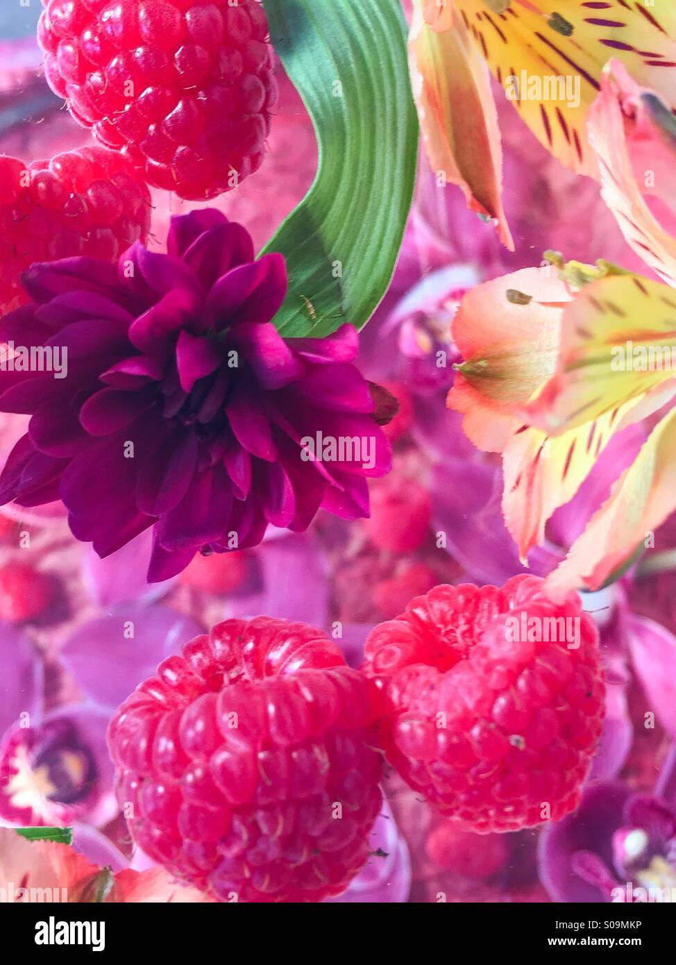 Raspberries still life Stock Photo - Alamy