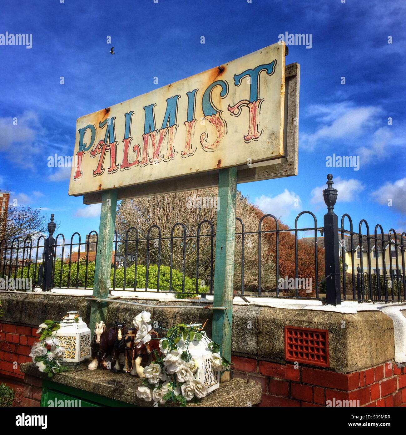 Palmist hi-res stock photography and images - Alamy