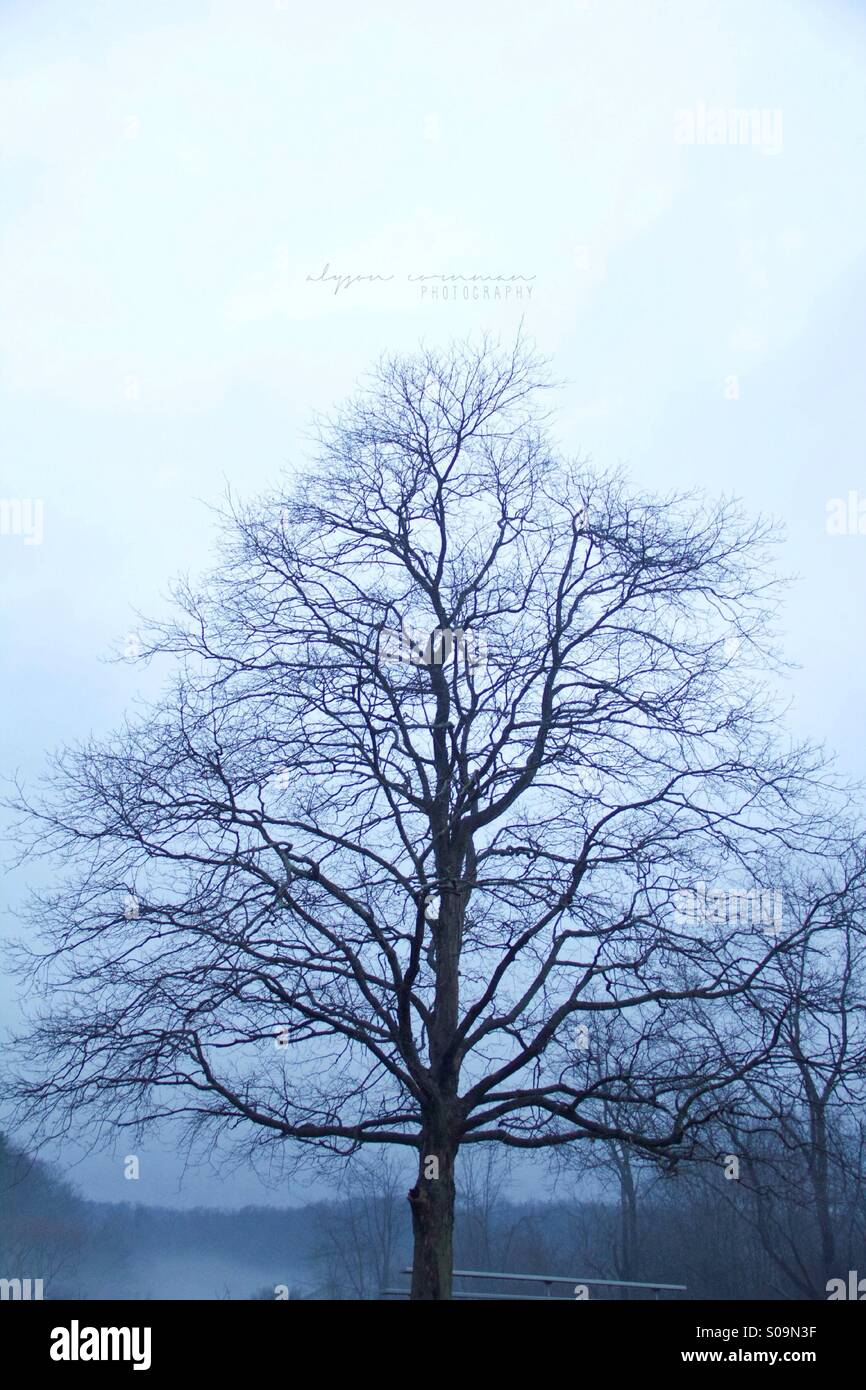 Blue fog hi-res stock photography and images - Alamy