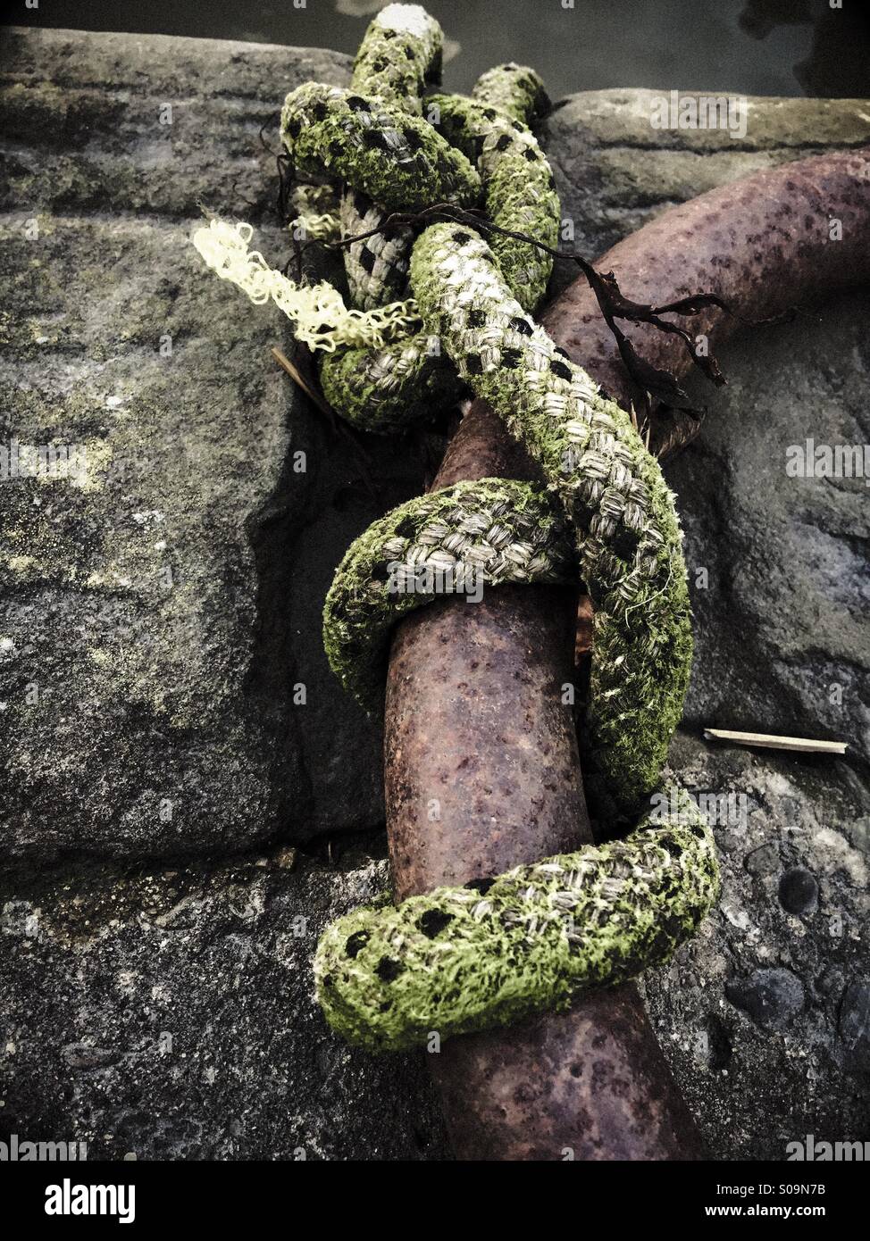Weather beaten rope tied to a rusty iron ring at a harbour Stock Photo ...