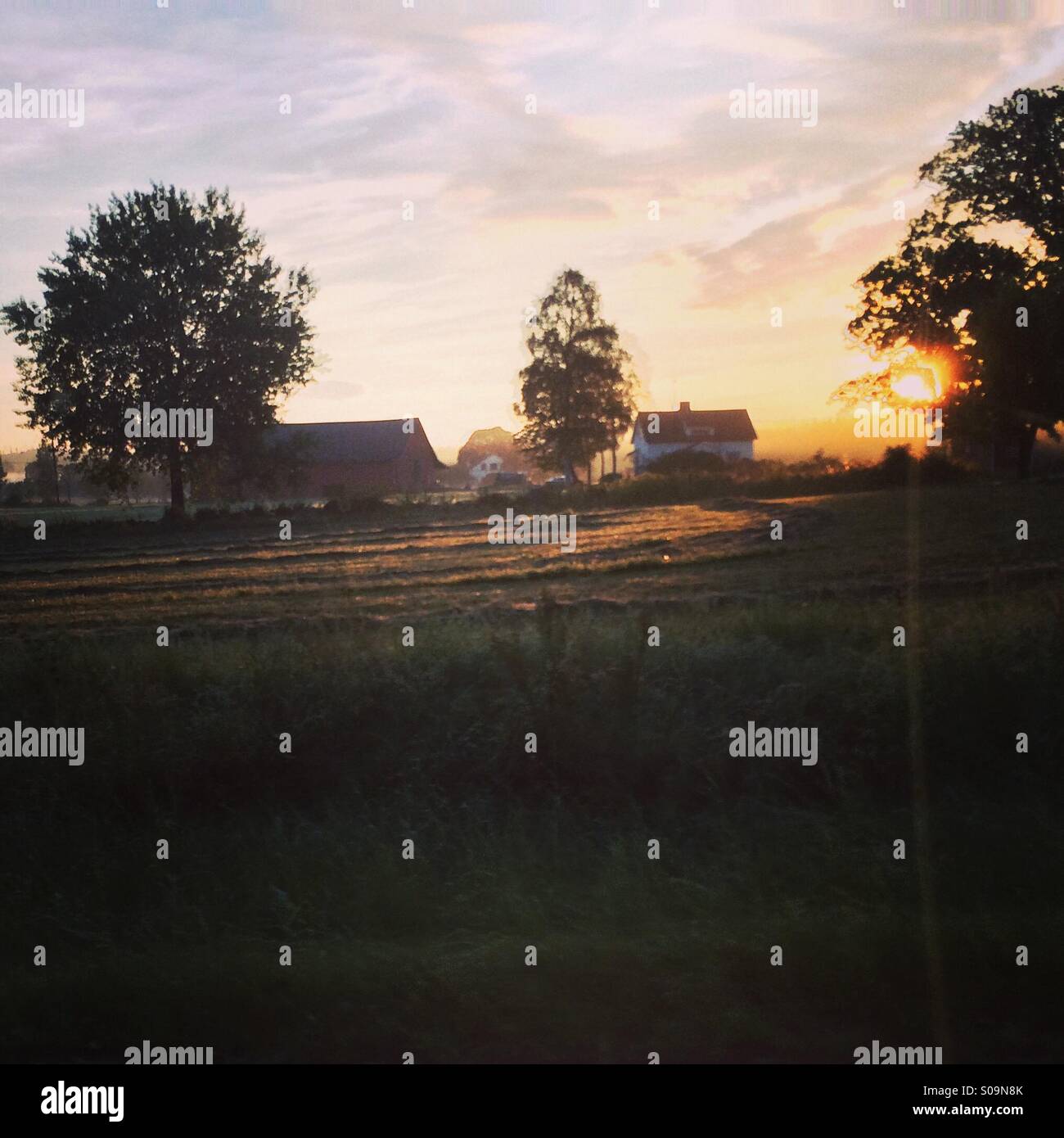 Sunny dawn over the countryside Stock Photo - Alamy