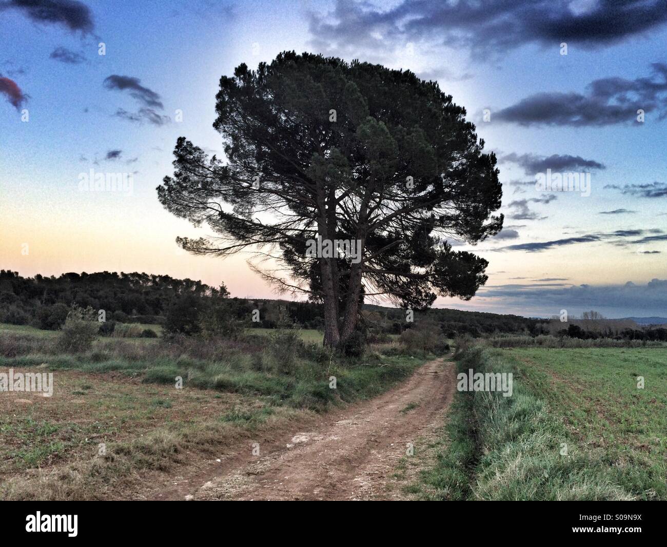 Catalonia countryside, Spain Stock Photo - Alamy