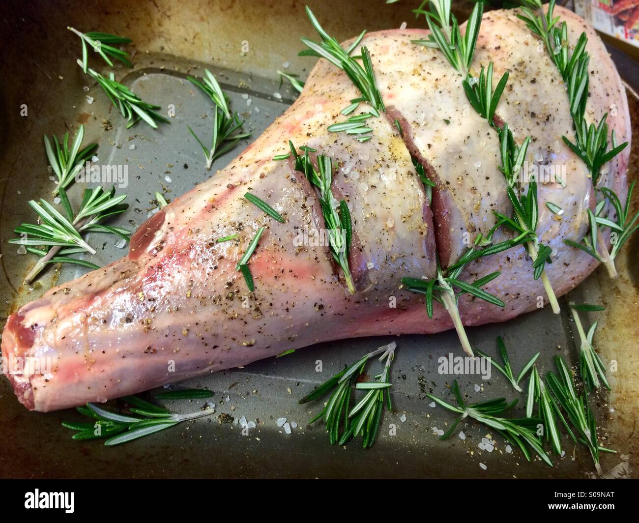 Leg of lamb Stock Photo - Alamy