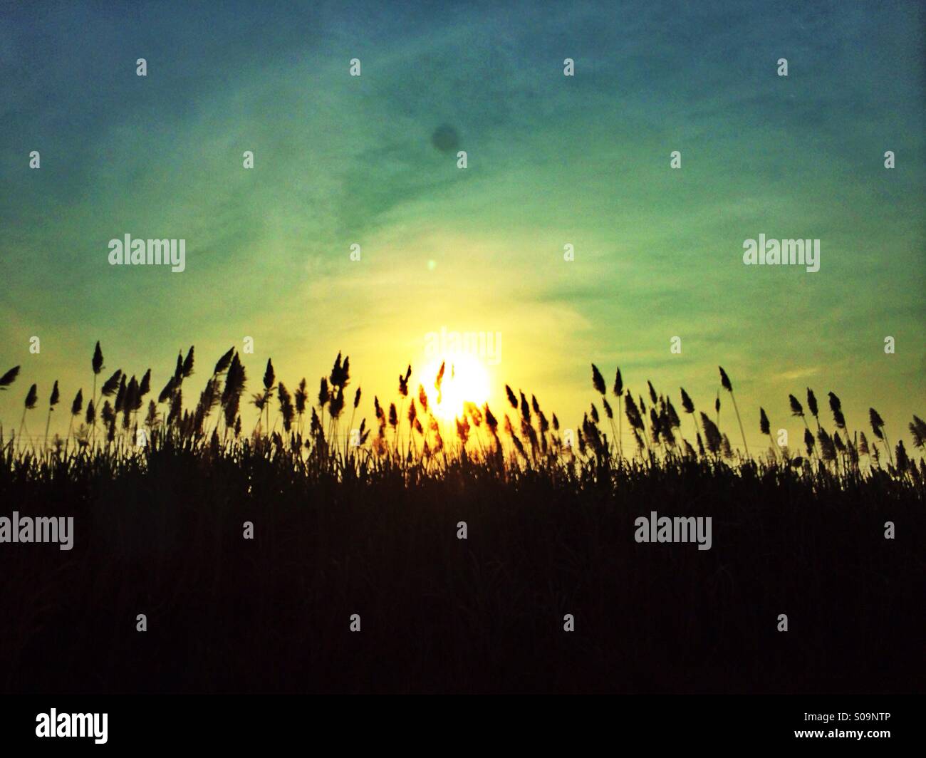 Sun silhouette hi-res stock photography and images - Alamy