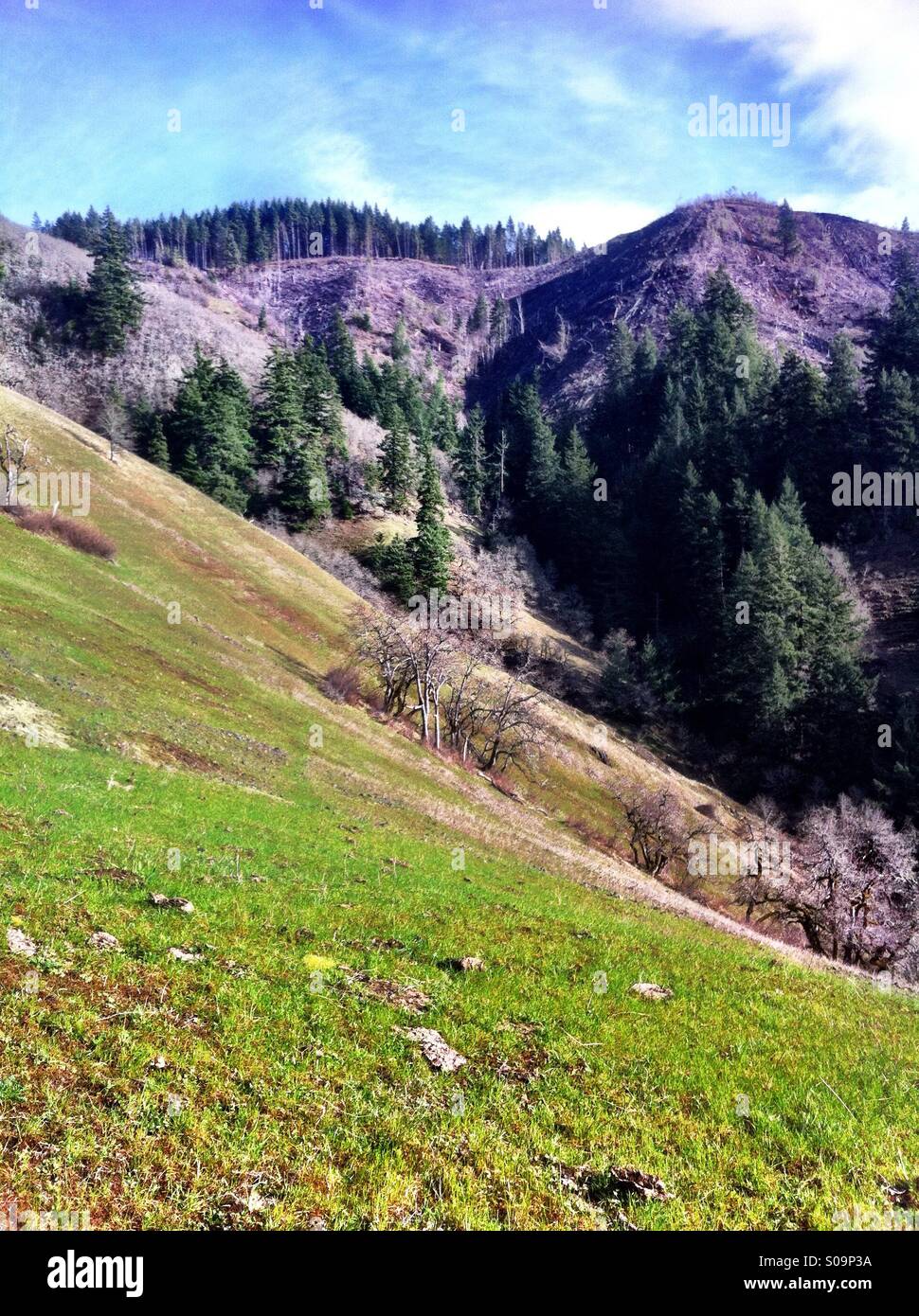 Mountain scene hi-res stock photography and images - Alamy