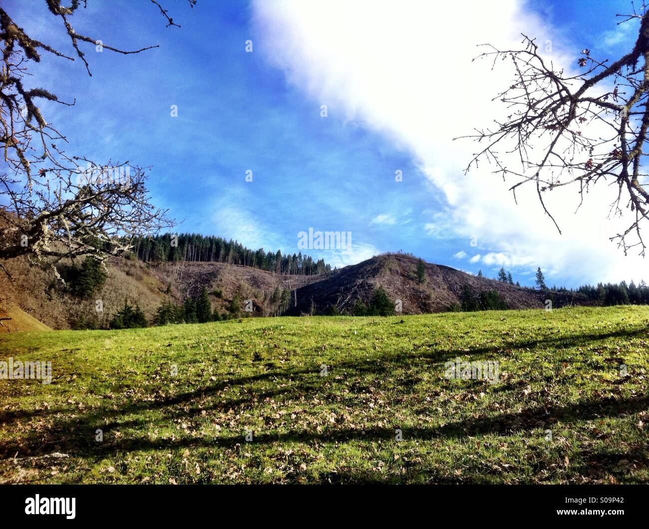 Open scene hi-res stock photography and images - Alamy