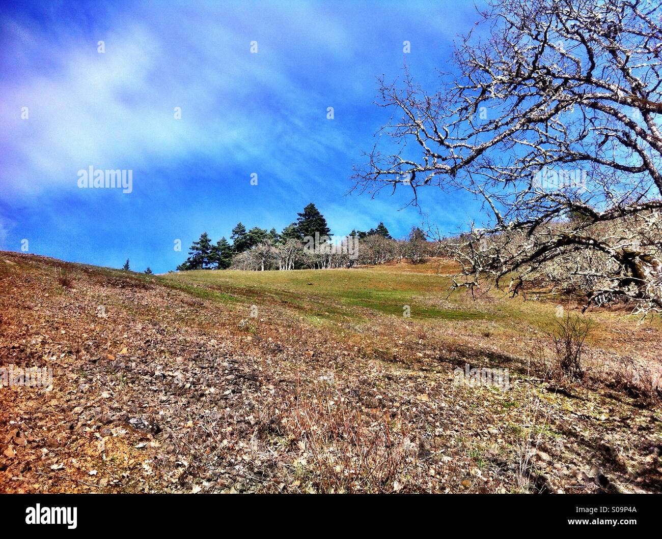 Open nature scene Stock Photo - Alamy