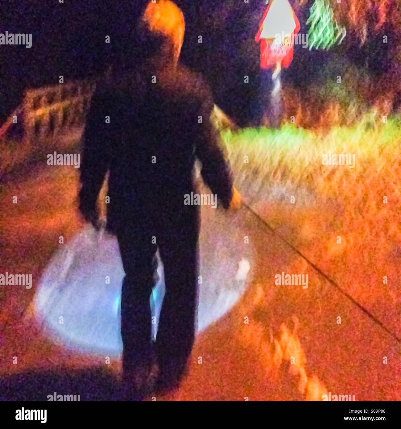 Walking the dog with a torch in the dark Stock Photo - Alamy