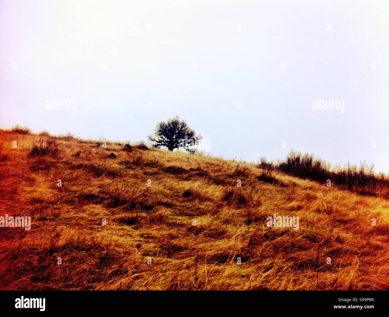 Hillside serenity hi-res stock photography and images - Alamy