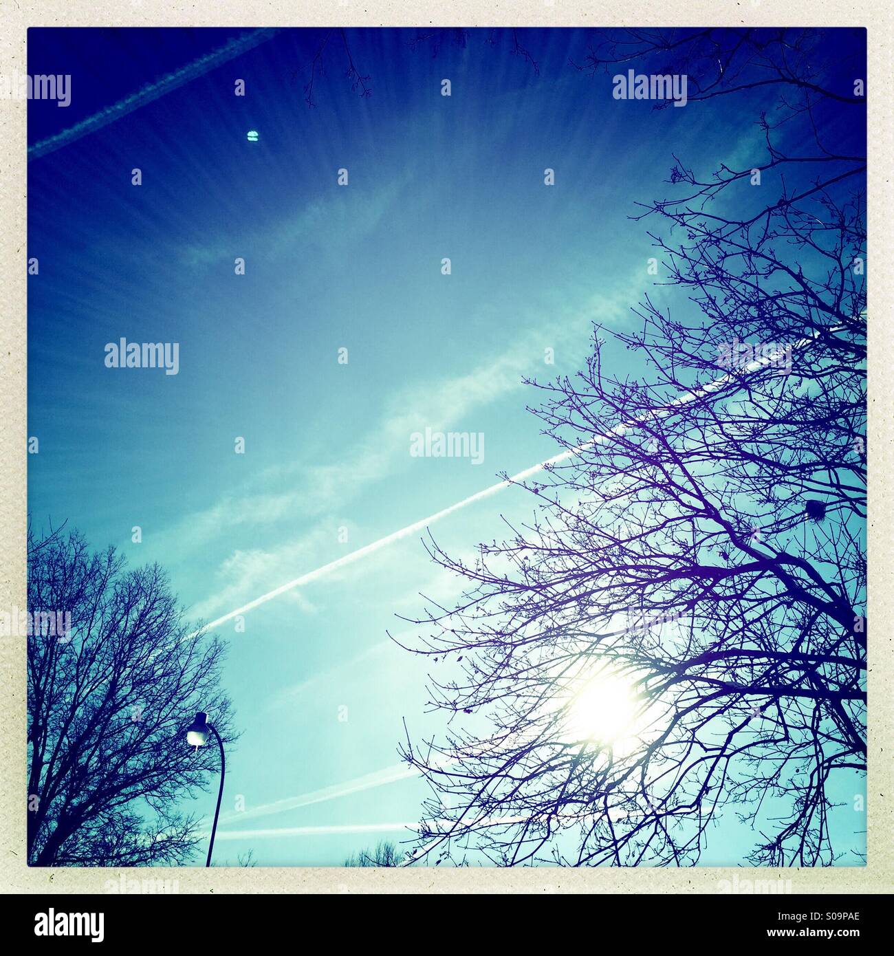 Clear blue wintry sky hi-res stock photography and images - Alamy