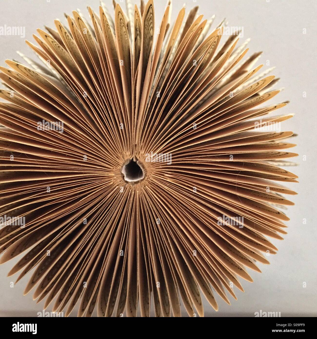 Book Wheel High Resolution Stock Photography and Images - Alamy