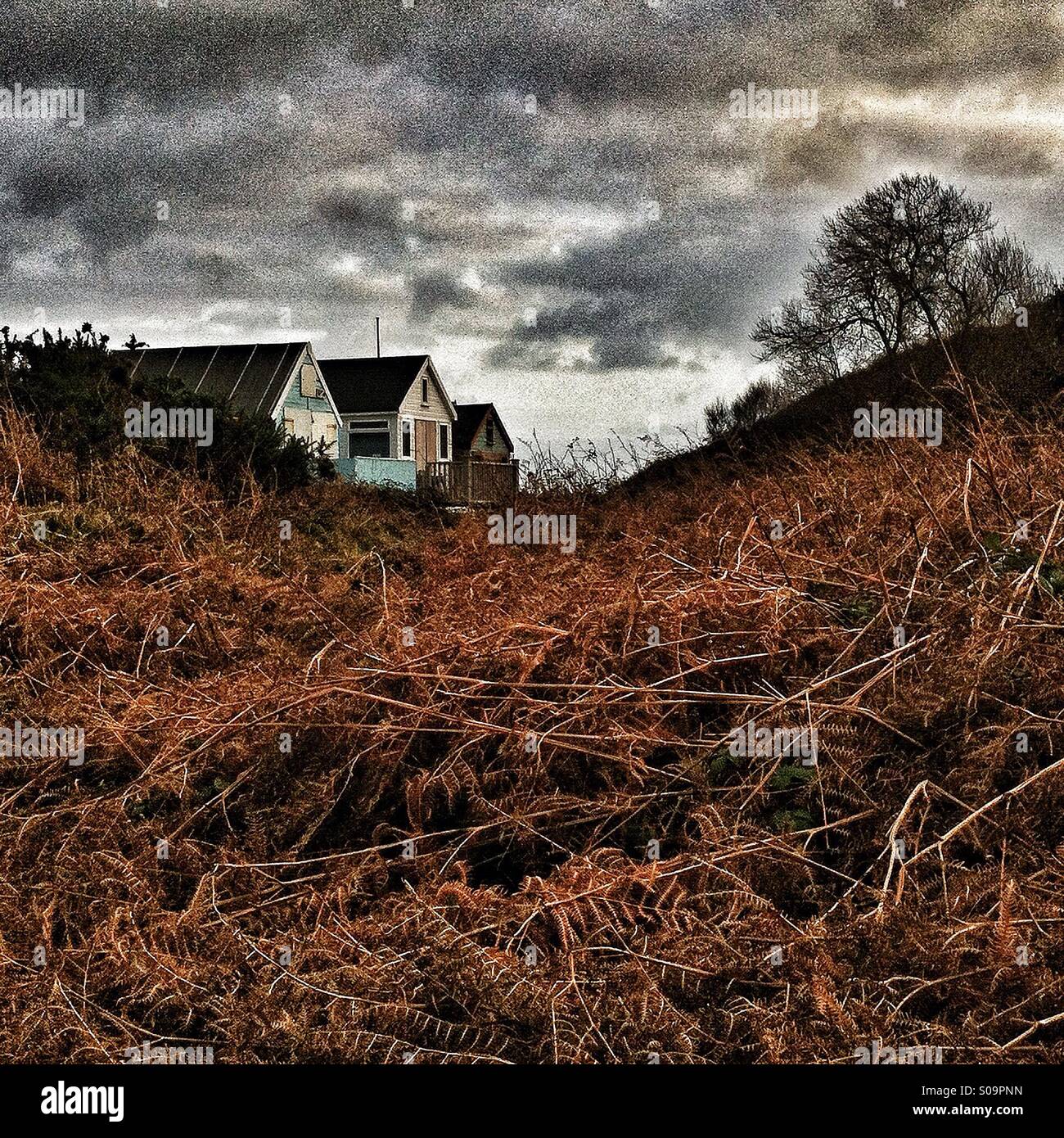 Beach huts in the bracken Stock Photo - Alamy
