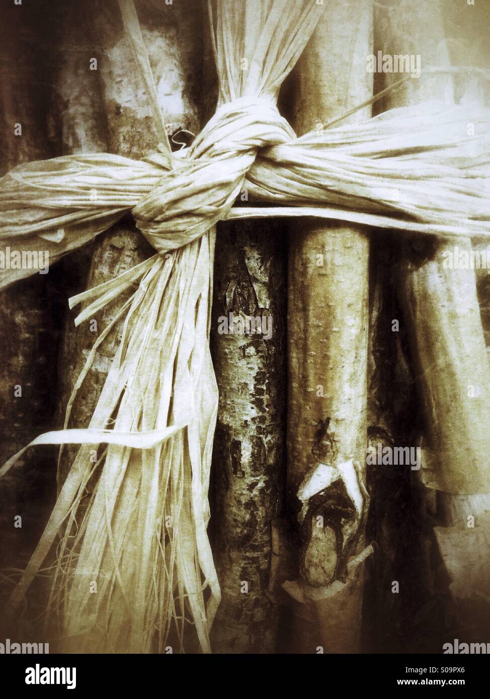 Tied logs hi-res stock photography and images - Alamy
