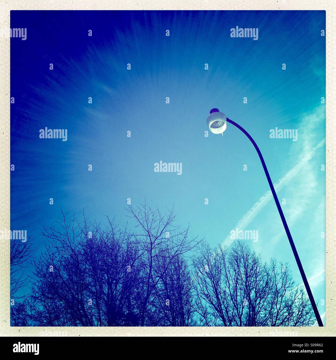 Mercury Vapor Light At Night