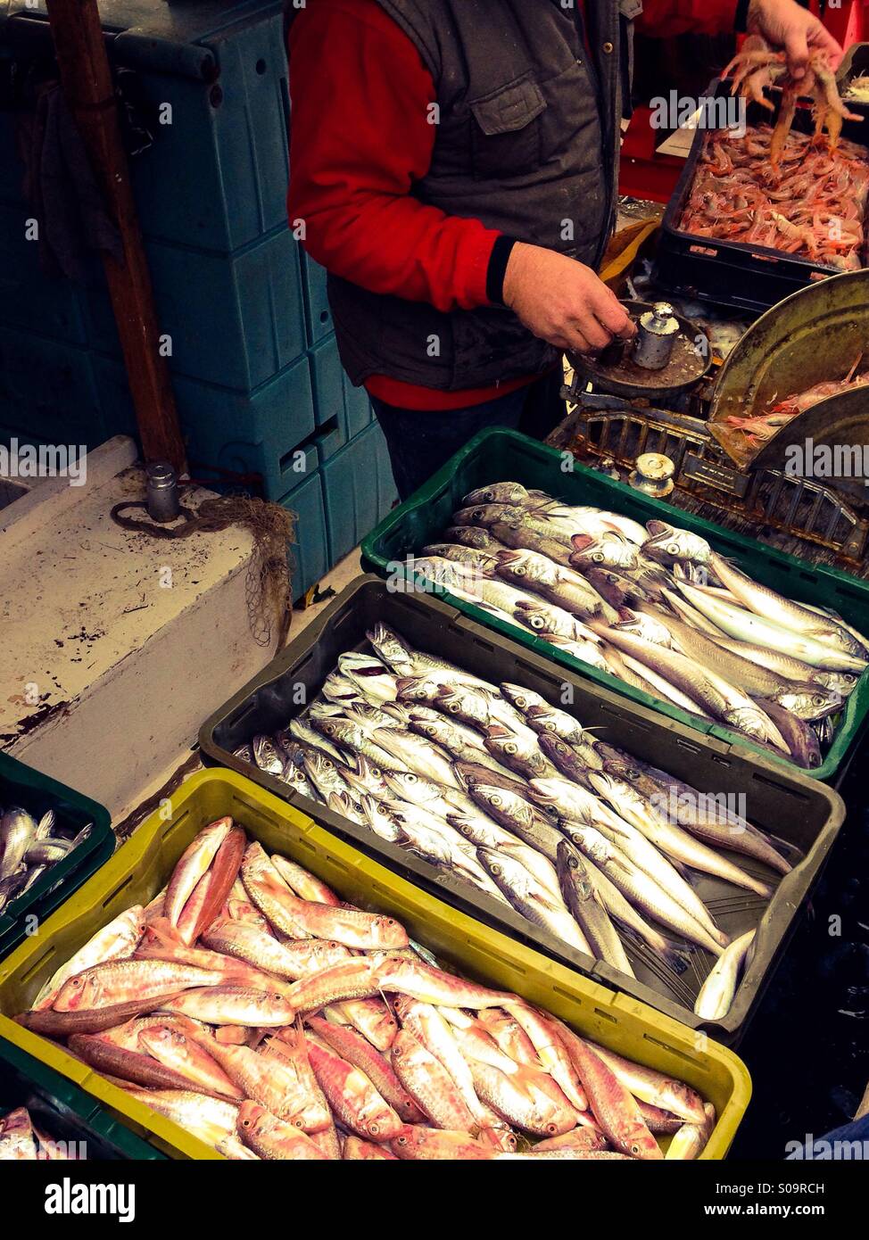 Fisherman boat with many fish hi-res stock photography and images - Alamy