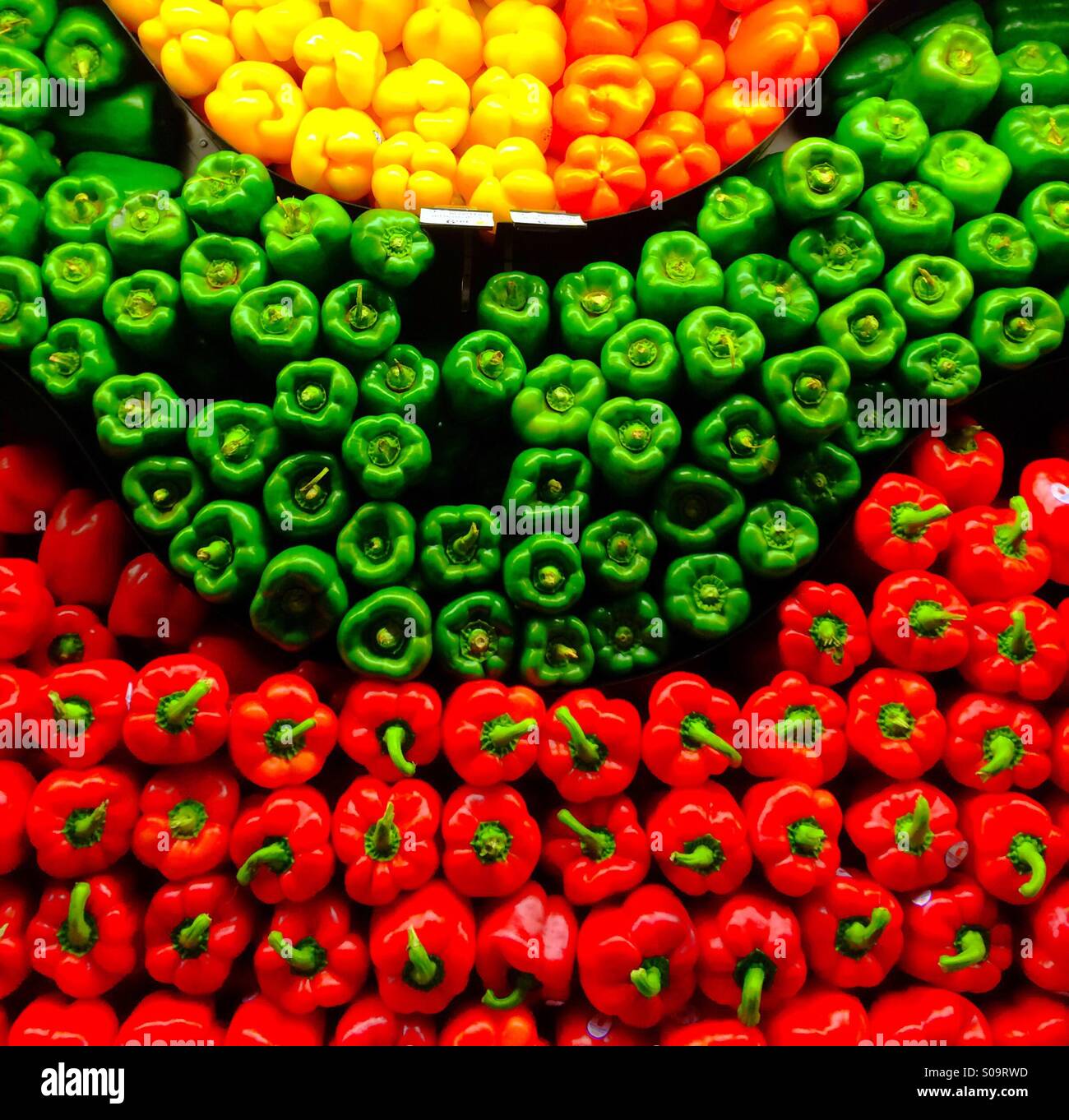 Green peppers display hi-res stock photography and images - Alamy