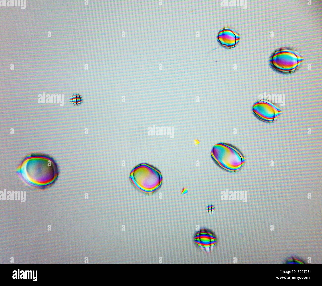 Techno Rainbow Background