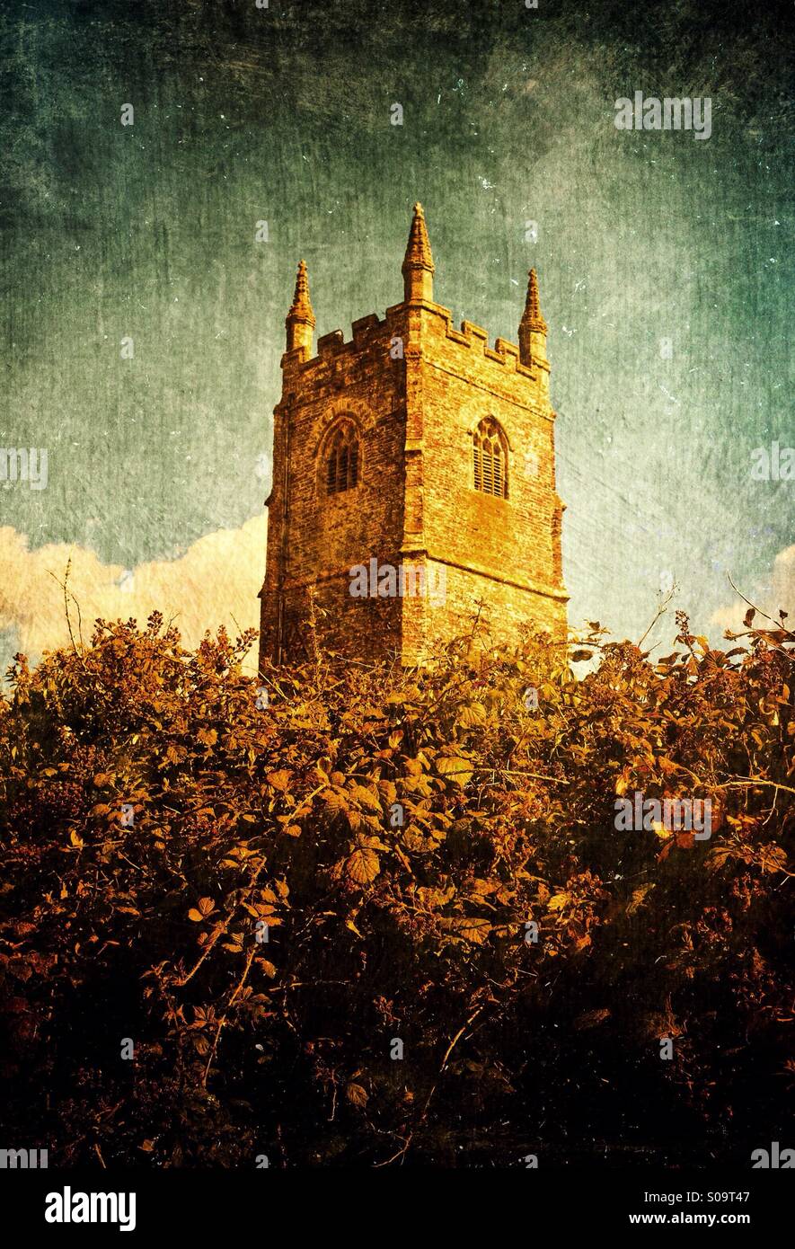 Church tower hidden behind an overgrown bramble bush in the UK Stock ...