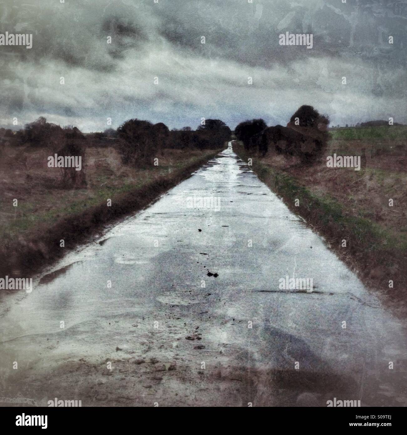 Wet road in south hi-res stock photography and images - Alamy