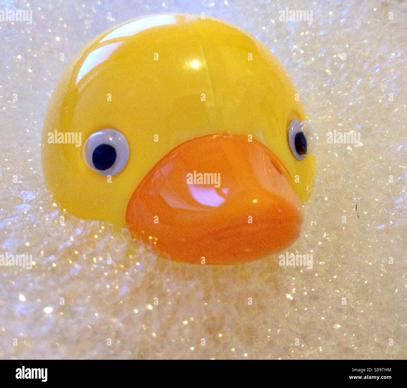 Duck in bath Stock Photo - Alamy