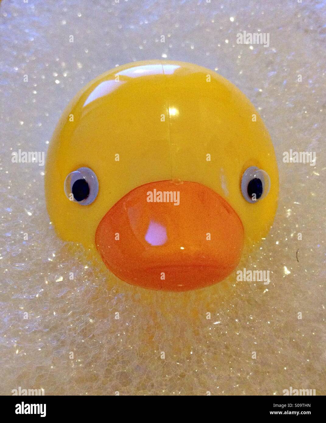 Duck in bath Stock Photo - Alamy
