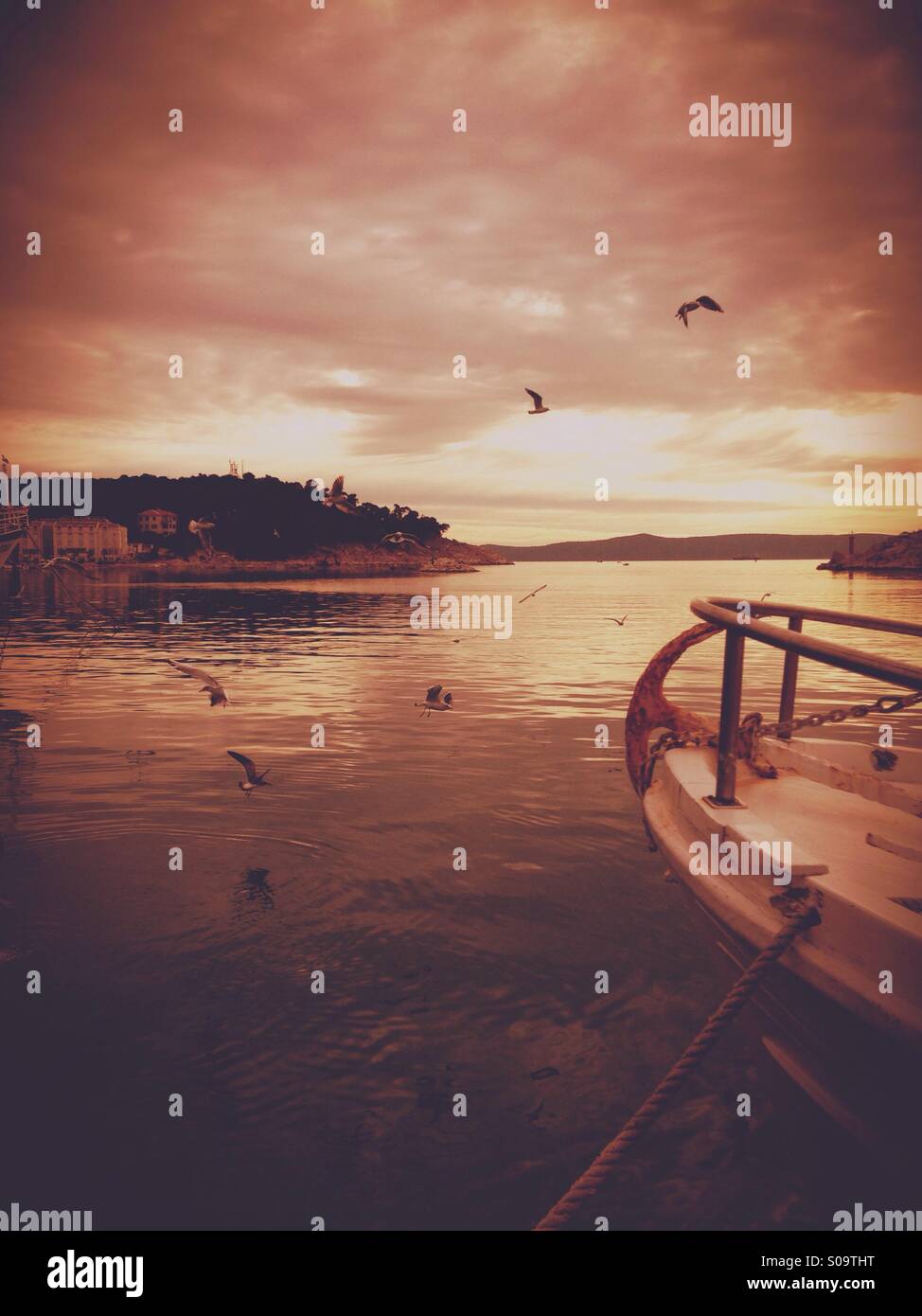 Dramatic scene of boat front and seagulls flying above Stock Photo - Alamy