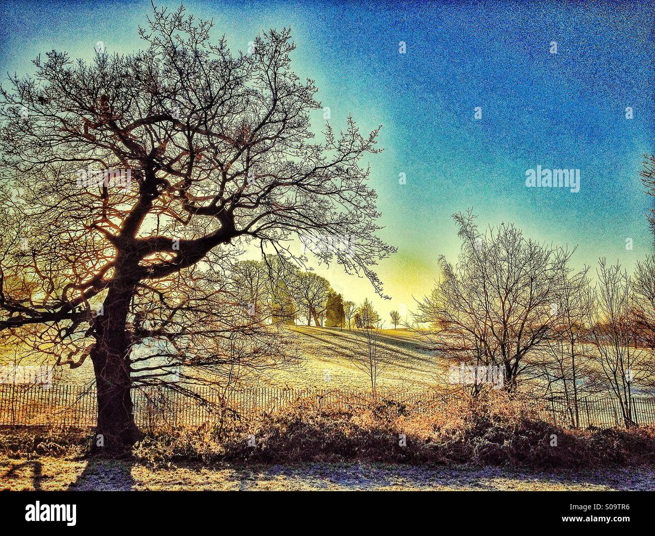 In a frosty field hi-res stock photography and images - Alamy