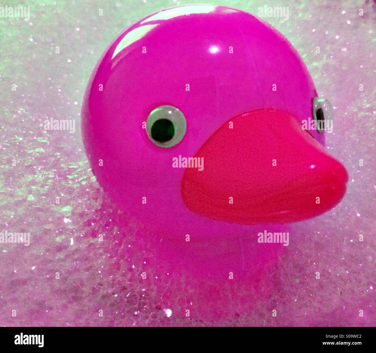 Pink rubber duck bubbles hi-res stock photography and images - Alamy