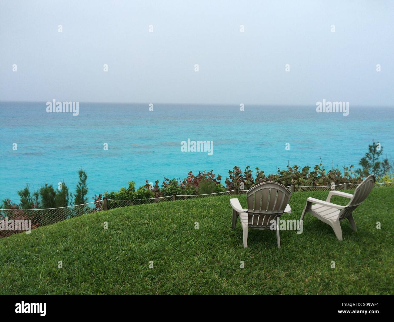 Bermuda grass hi-res stock photography and images - Alamy