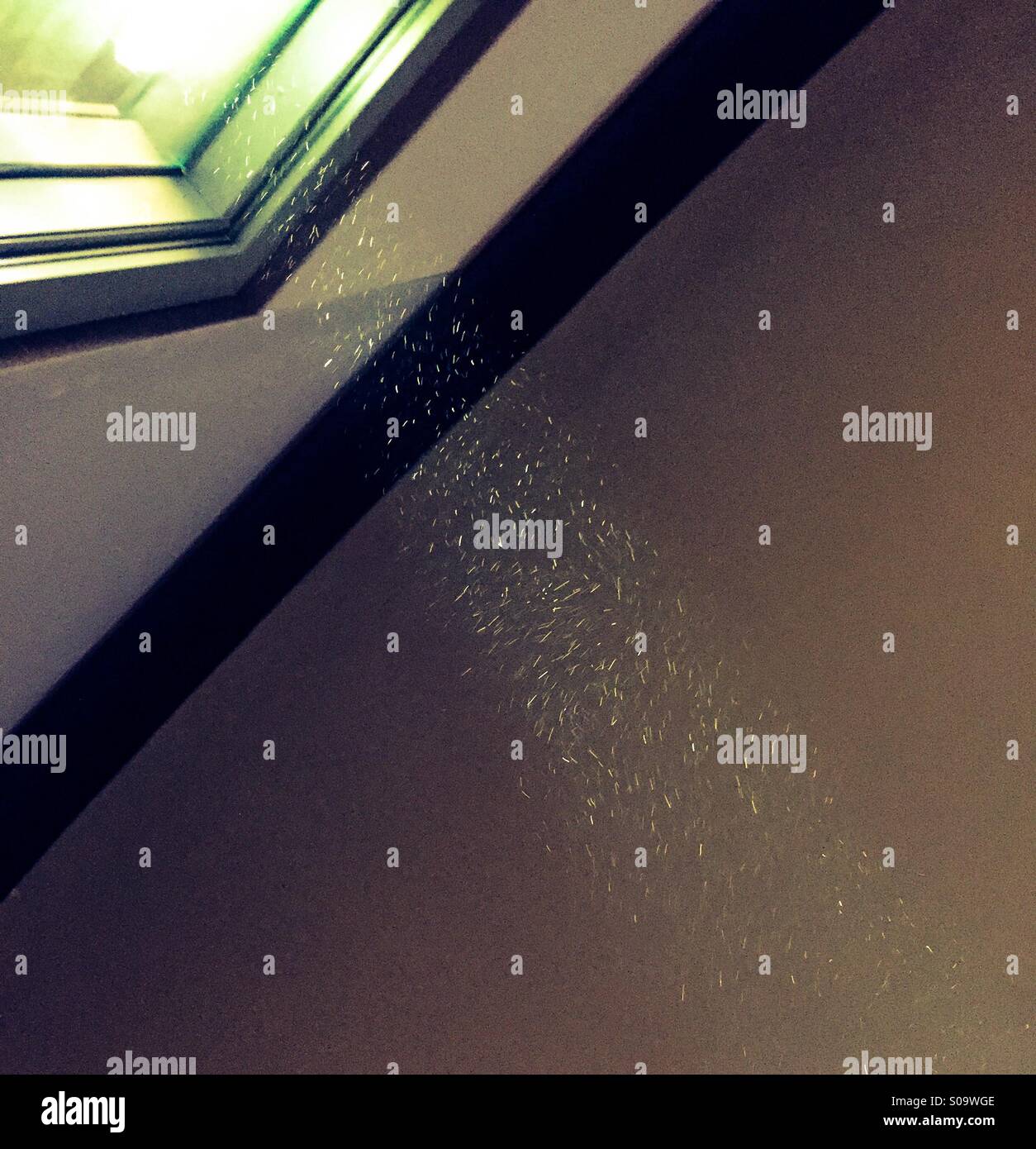 Conference projector hi-res stock photography and images - Alamy