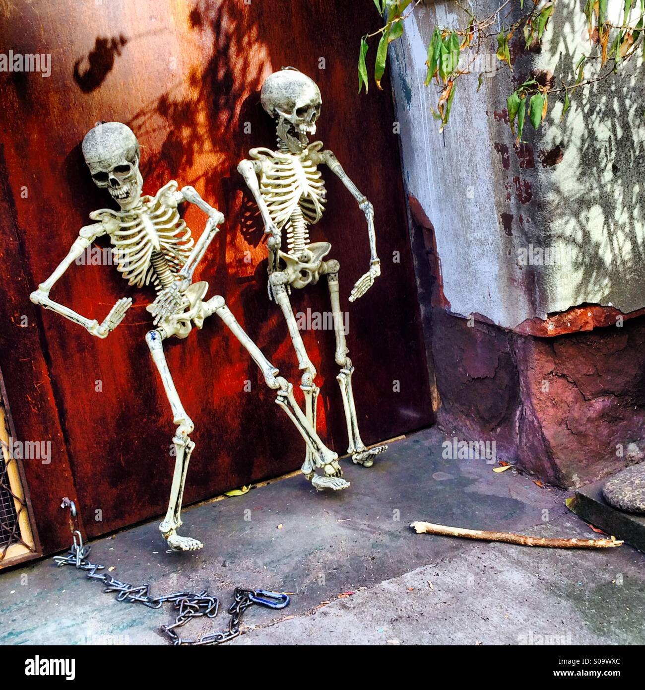 Scary skeletons hi-res stock photography and images - Alamy