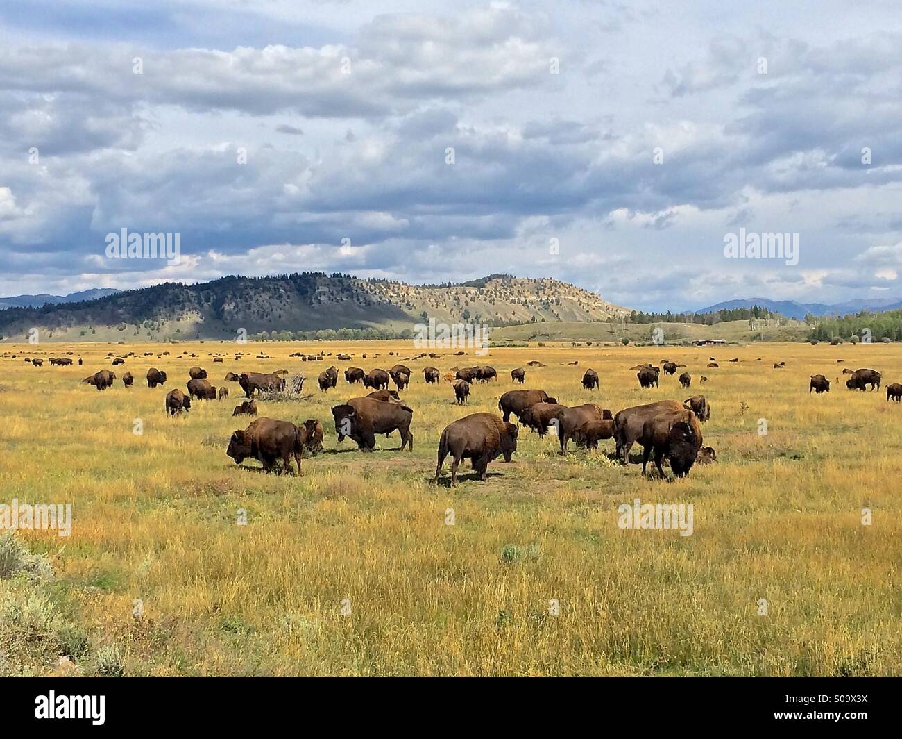 Home on the range hi-res stock photography and images - Alamy