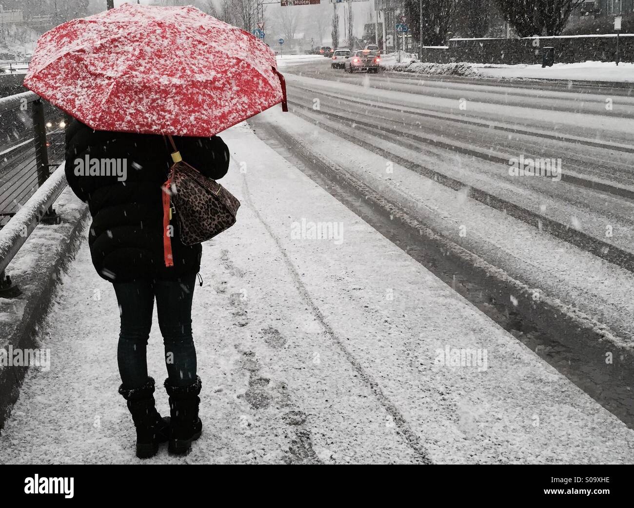 Umbrella snow hi-res stock photography and images - Alamy