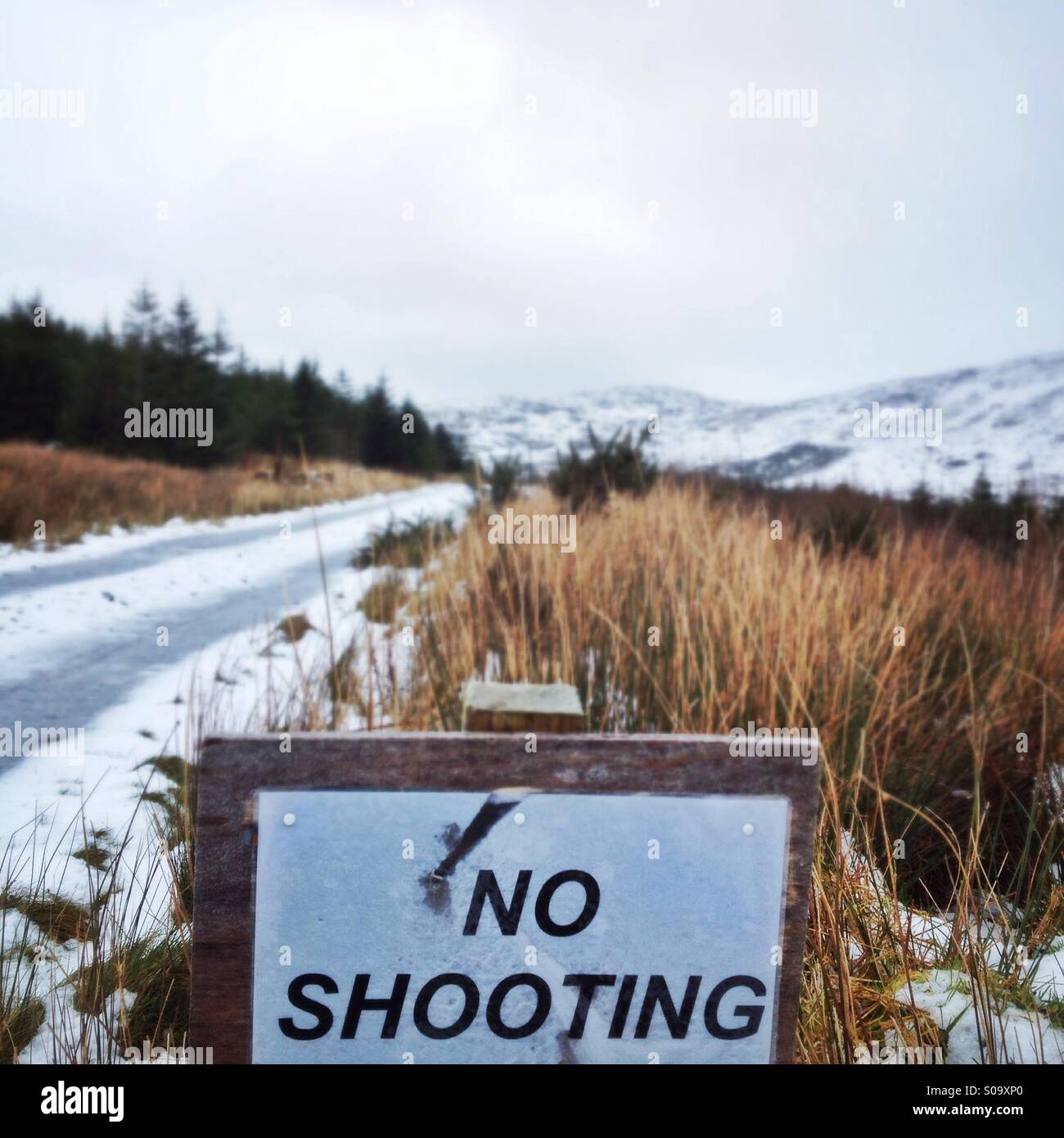 No shooting sign hi-res stock photography and images - Alamy