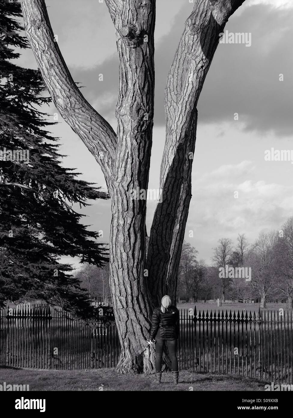 Woman and tree black and white hi-res stock photography and images - Alamy
