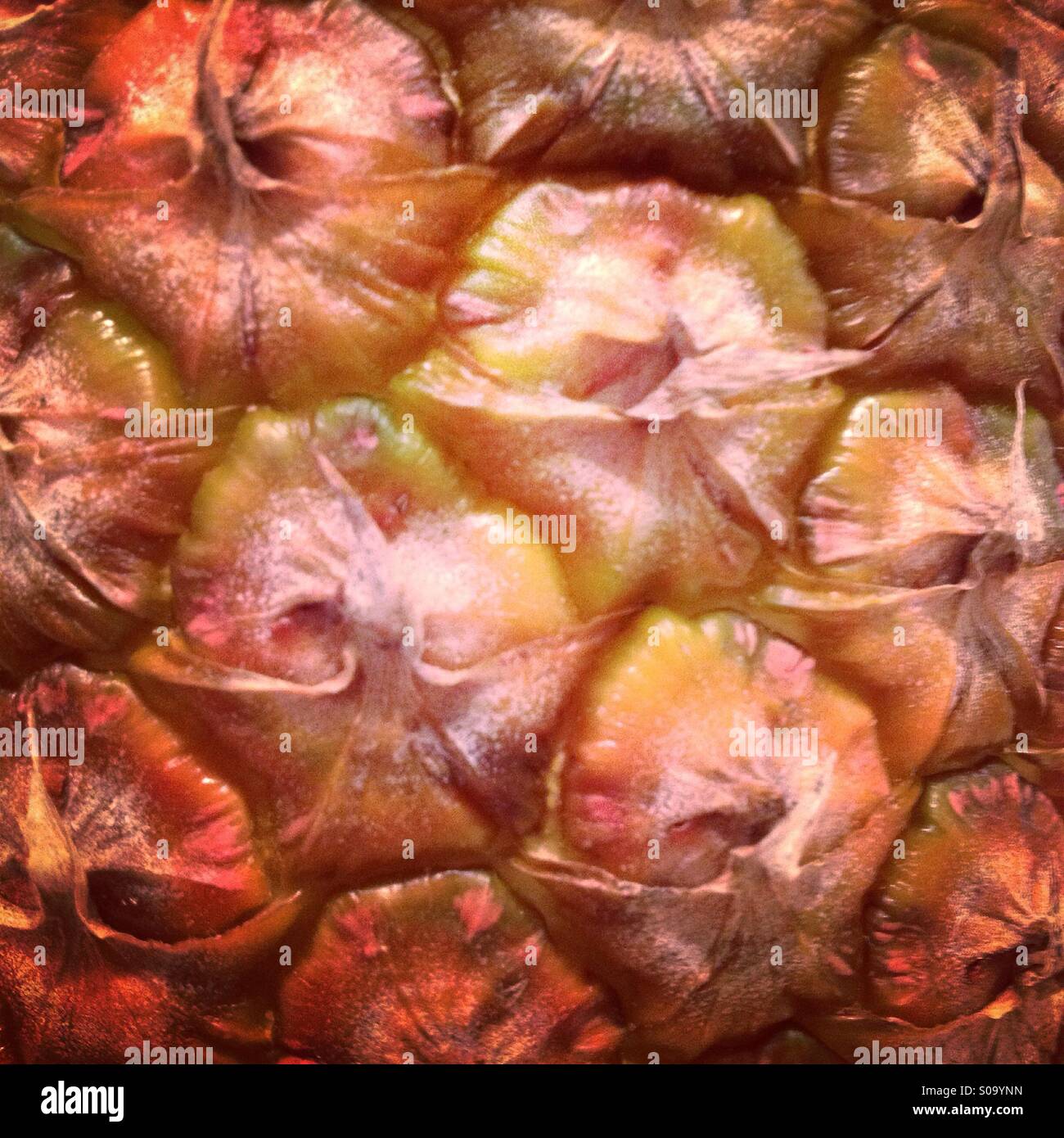 Pineapple Skin Stock Photos & Pineapple Skin Stock Images - Alamy